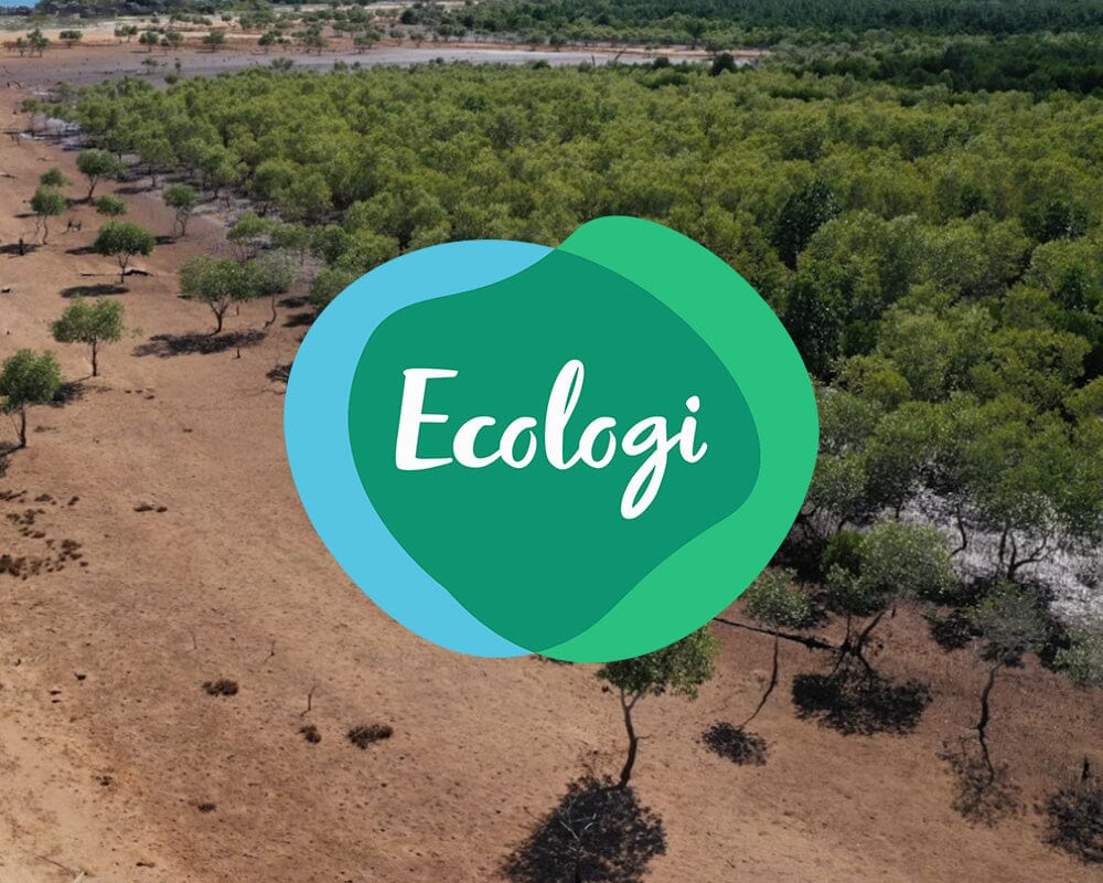 Rheal 🤝 Ecologi: 2025 Update